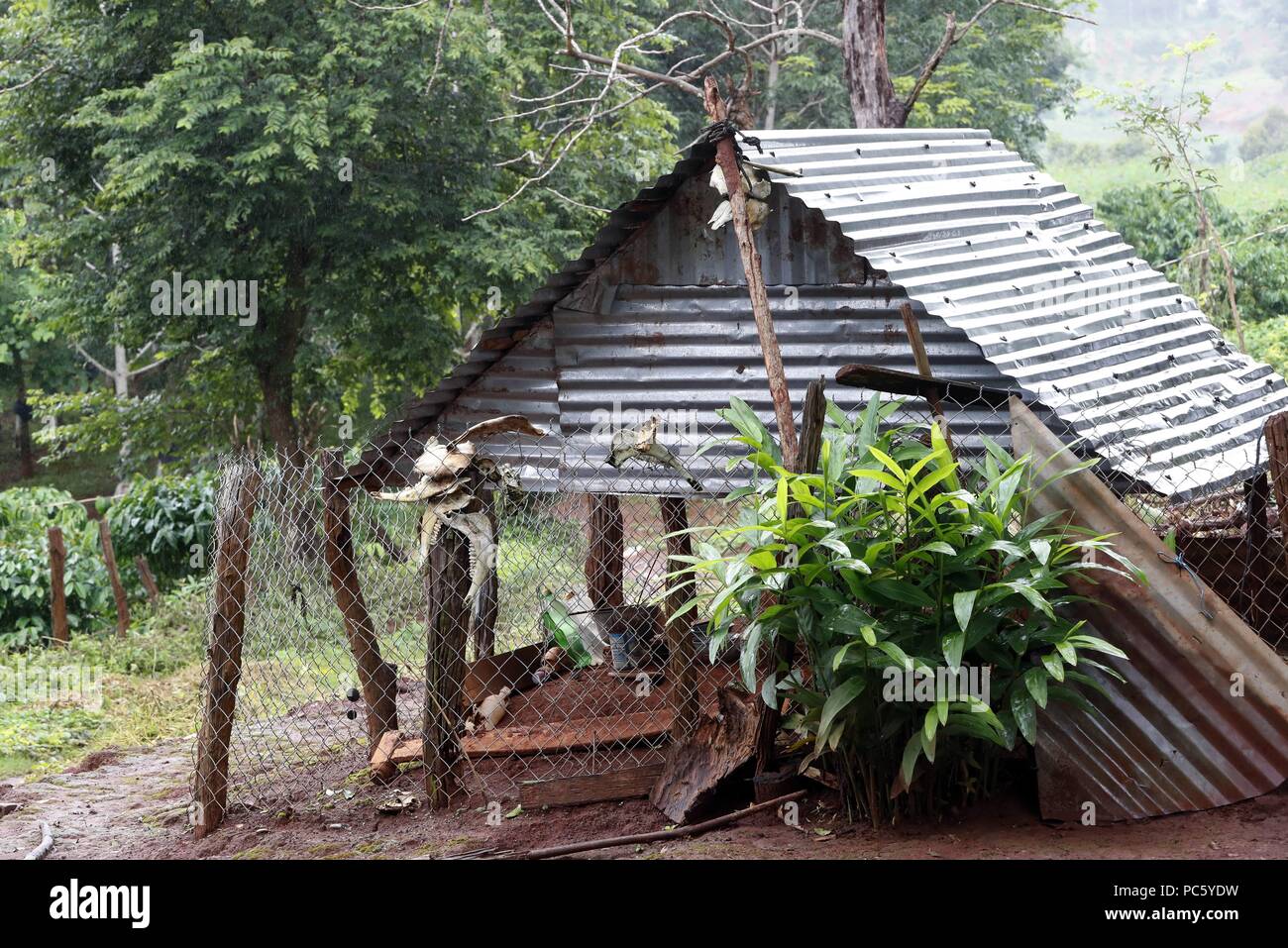 Gia rai hi-res stock photography and images - Alamy
