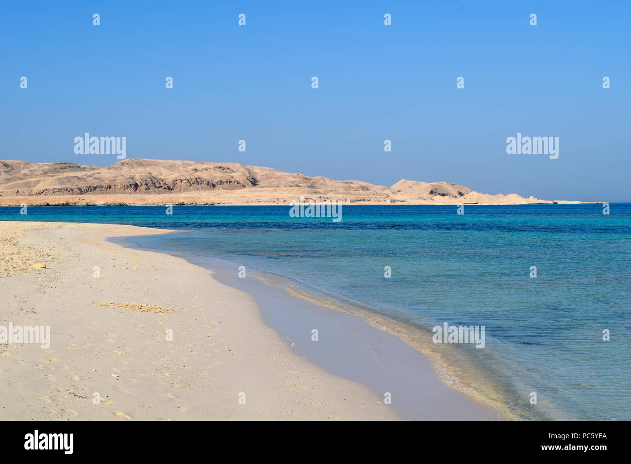 idyllic beach of Mahmya island with turquoise water, Egypt Stock Photo ...