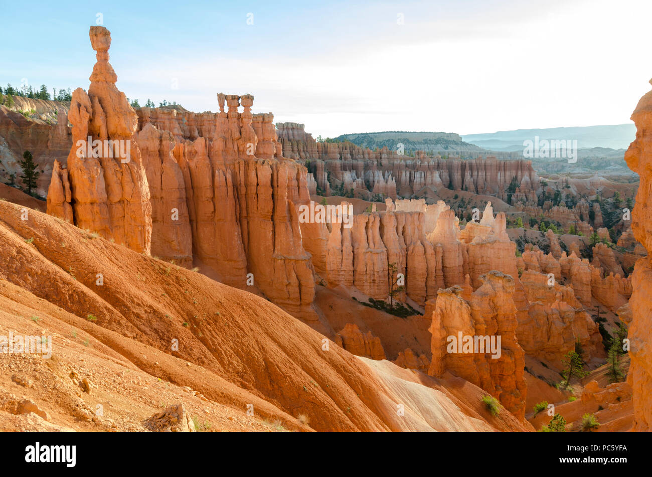 landscape on the bryce canyon in the united states of america Stock ...