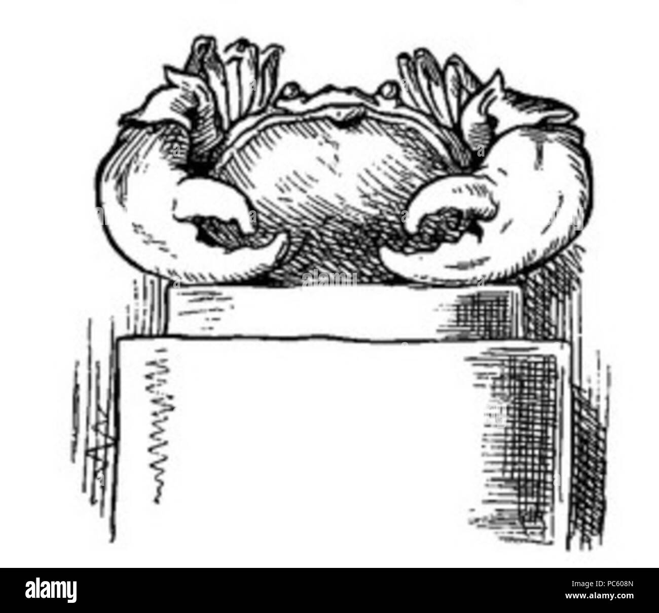 Animal anatomy art Black and White Stock Photos & Images - Alamy