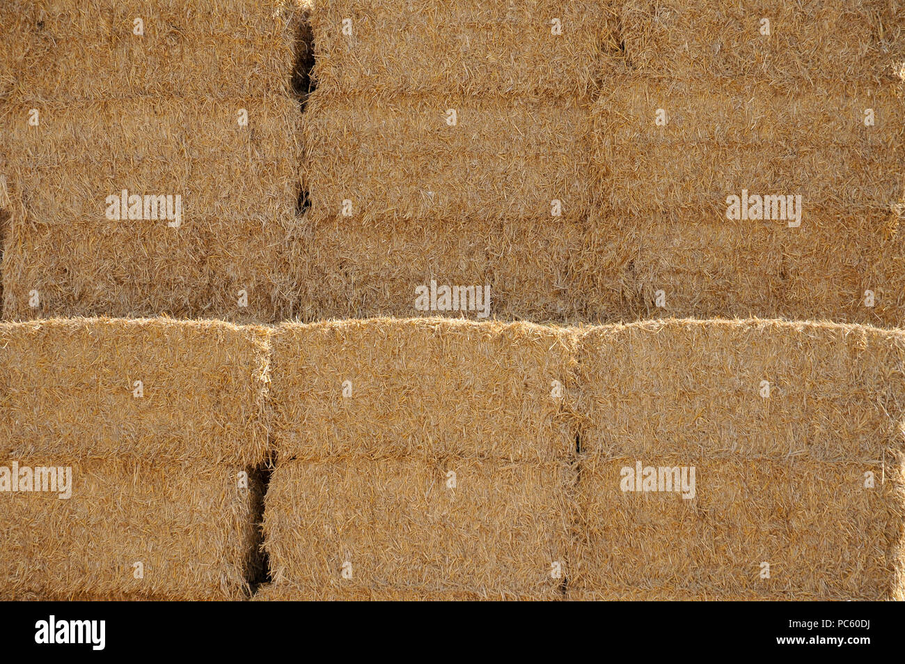 Bales of straw in storage in a dairy farm. Photographed at Kibbutz ...