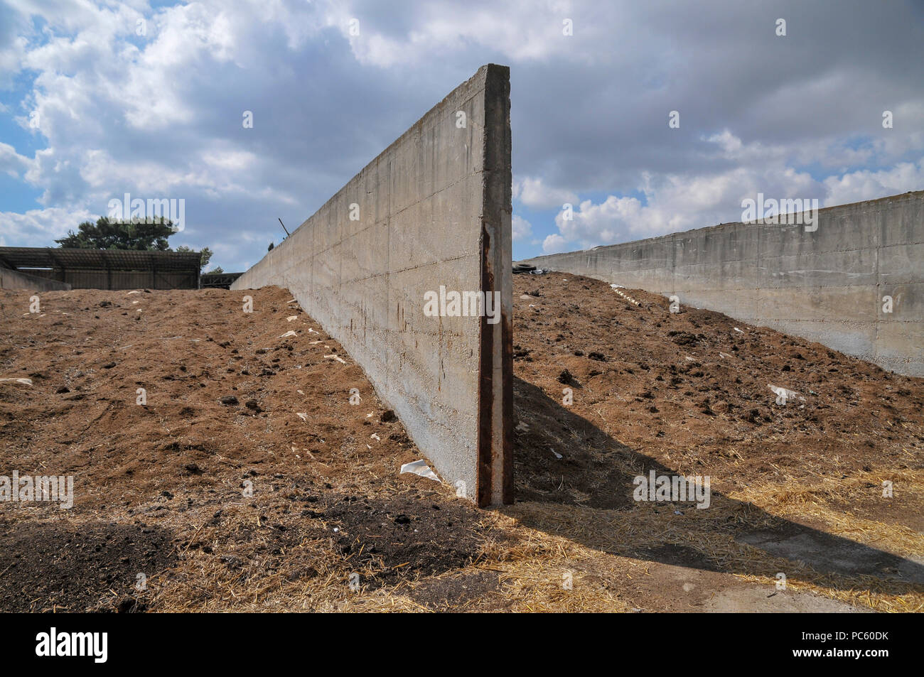 Israel, Galilee, Kibbutz Harduf, The dairy cowshed, silage storage silo ...