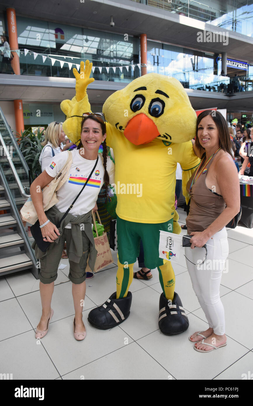 Norwich canary hi-res stock photography and images - Alamy