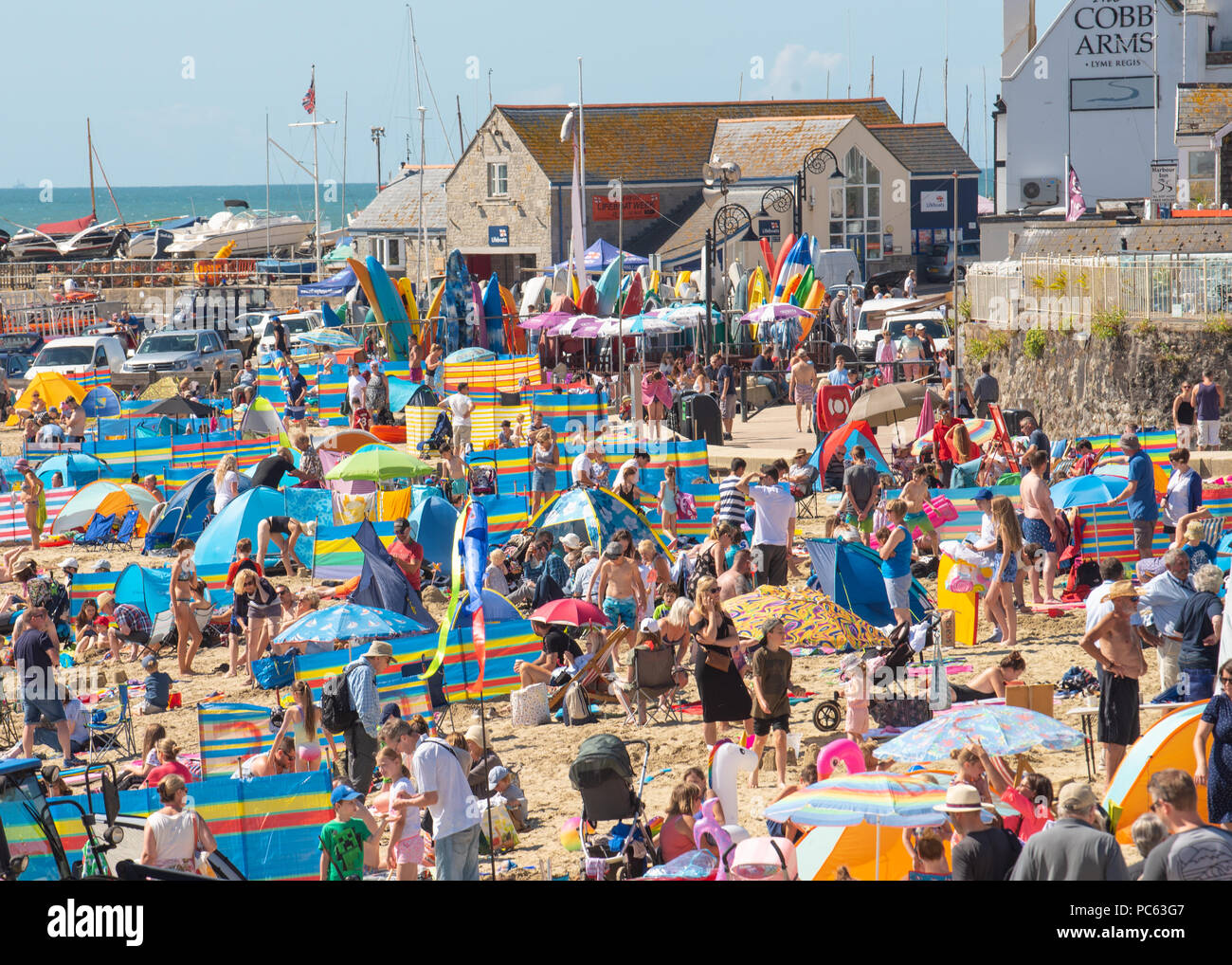 Summer 1976 uk heatwave sunbathing hi-res stock photography and images ...