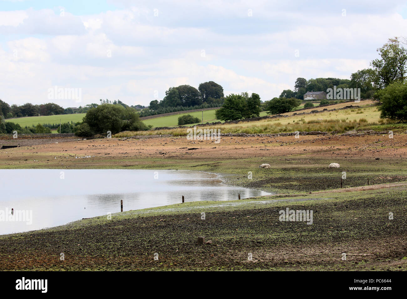 Colne, UK. 31st July 2018. Foulridge reservoir is at it's lowest for ...