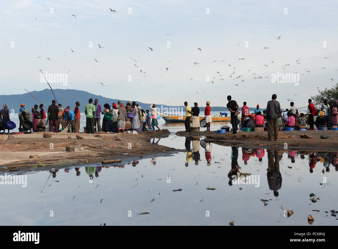 Sindo news hi-res stock photography and images - Alamy