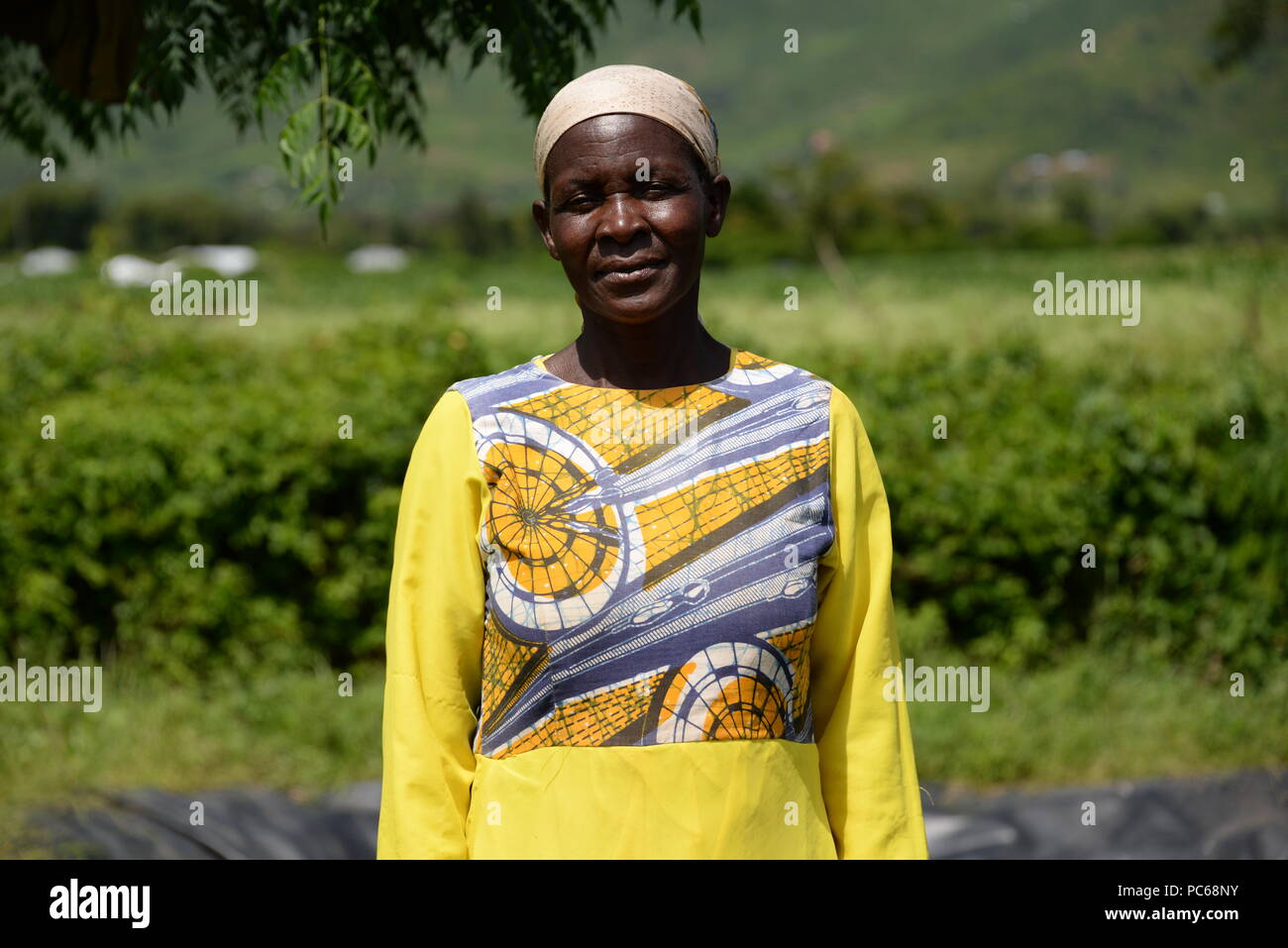 Sindo news hi-res stock photography and images - Alamy
