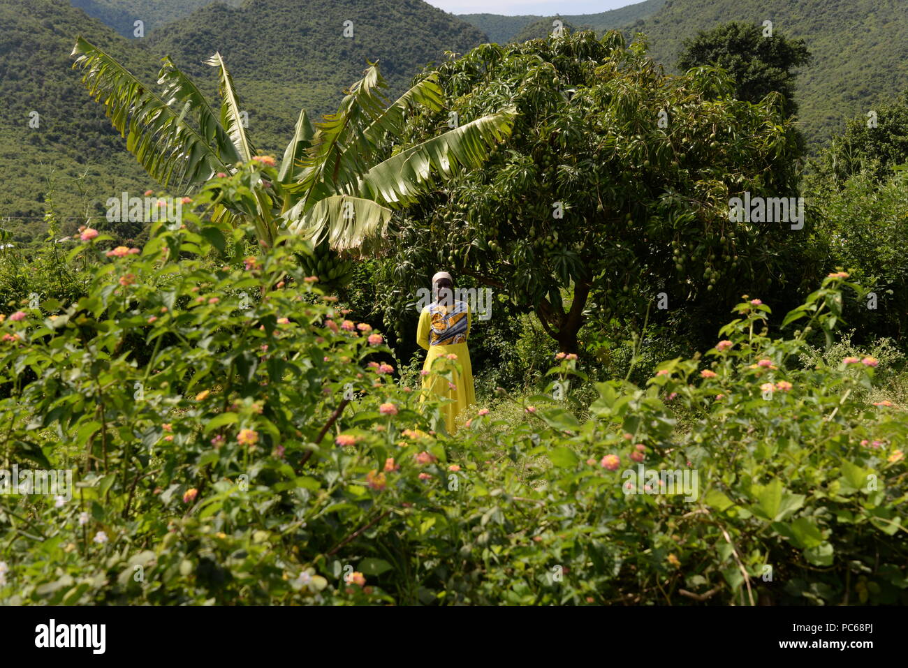 Sindo, Kenya. 03rd May, 2018. Perez Anjango, a former fishmonger ...