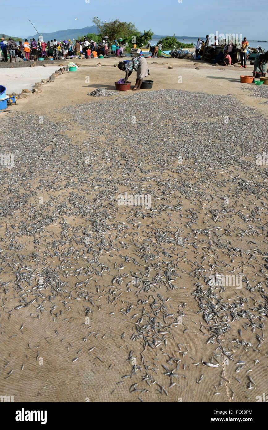 Sindo kenya hi-res stock photography and images - Alamy