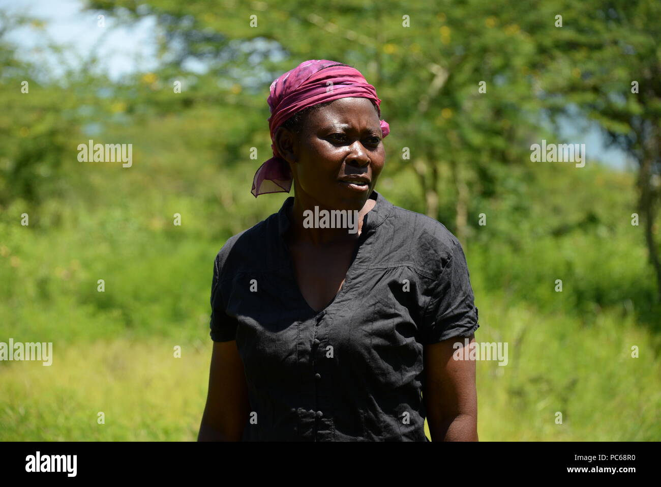 Alima hi-res stock photography and images - Alamy