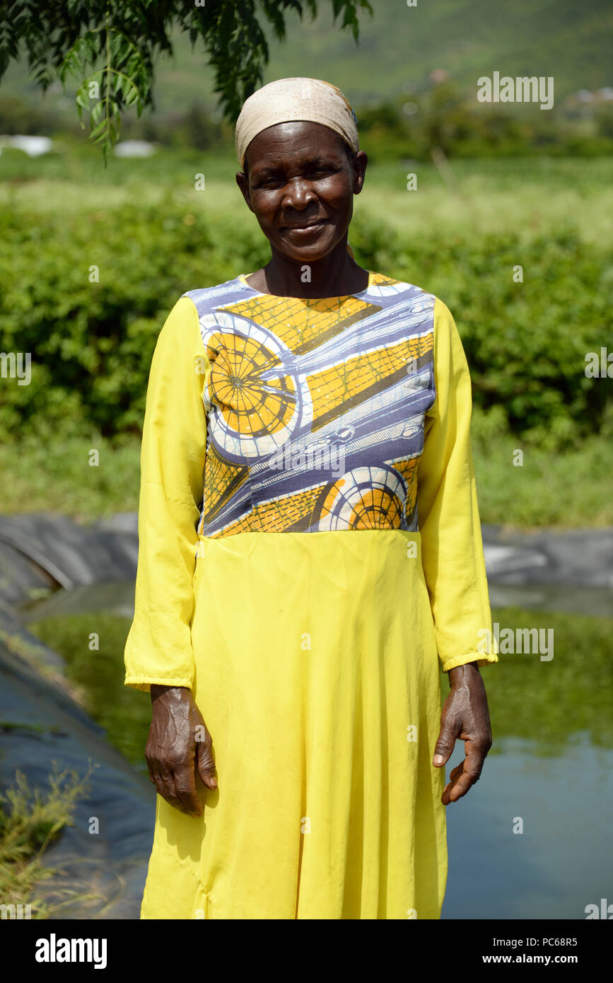 Sindo news hi-res stock photography and images - Alamy