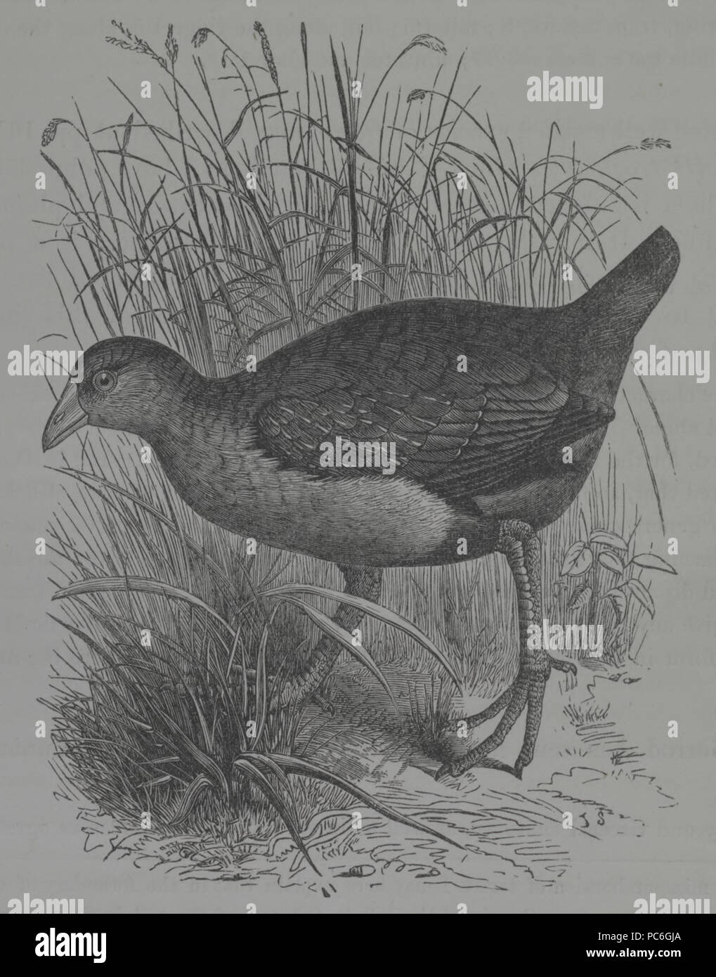 Pxix hi-res stock photography and images - Alamy