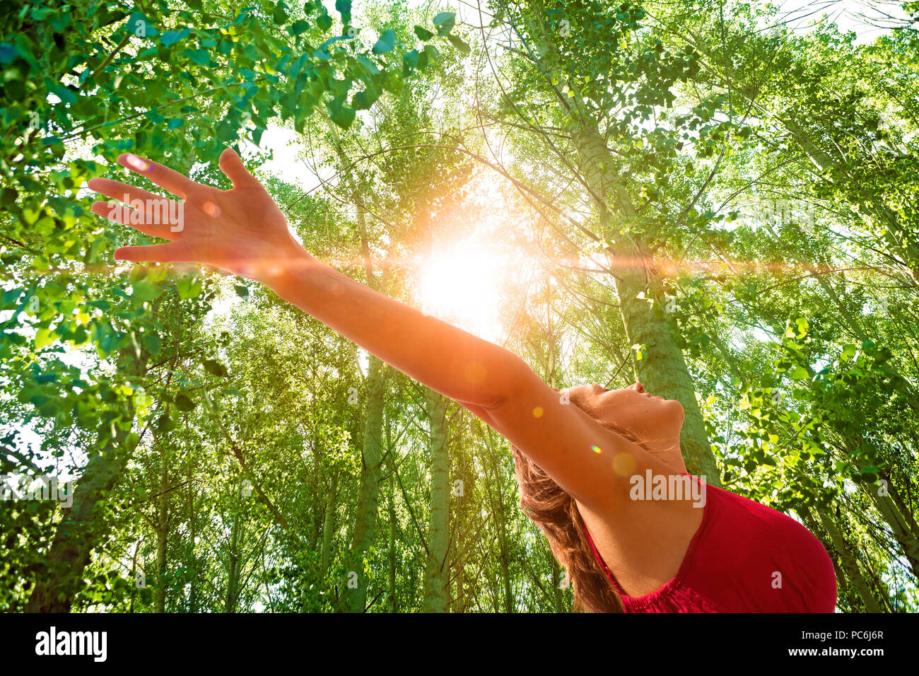 Dreamscape sunset and trees.Woman with open arms in nature Stock Photo ...