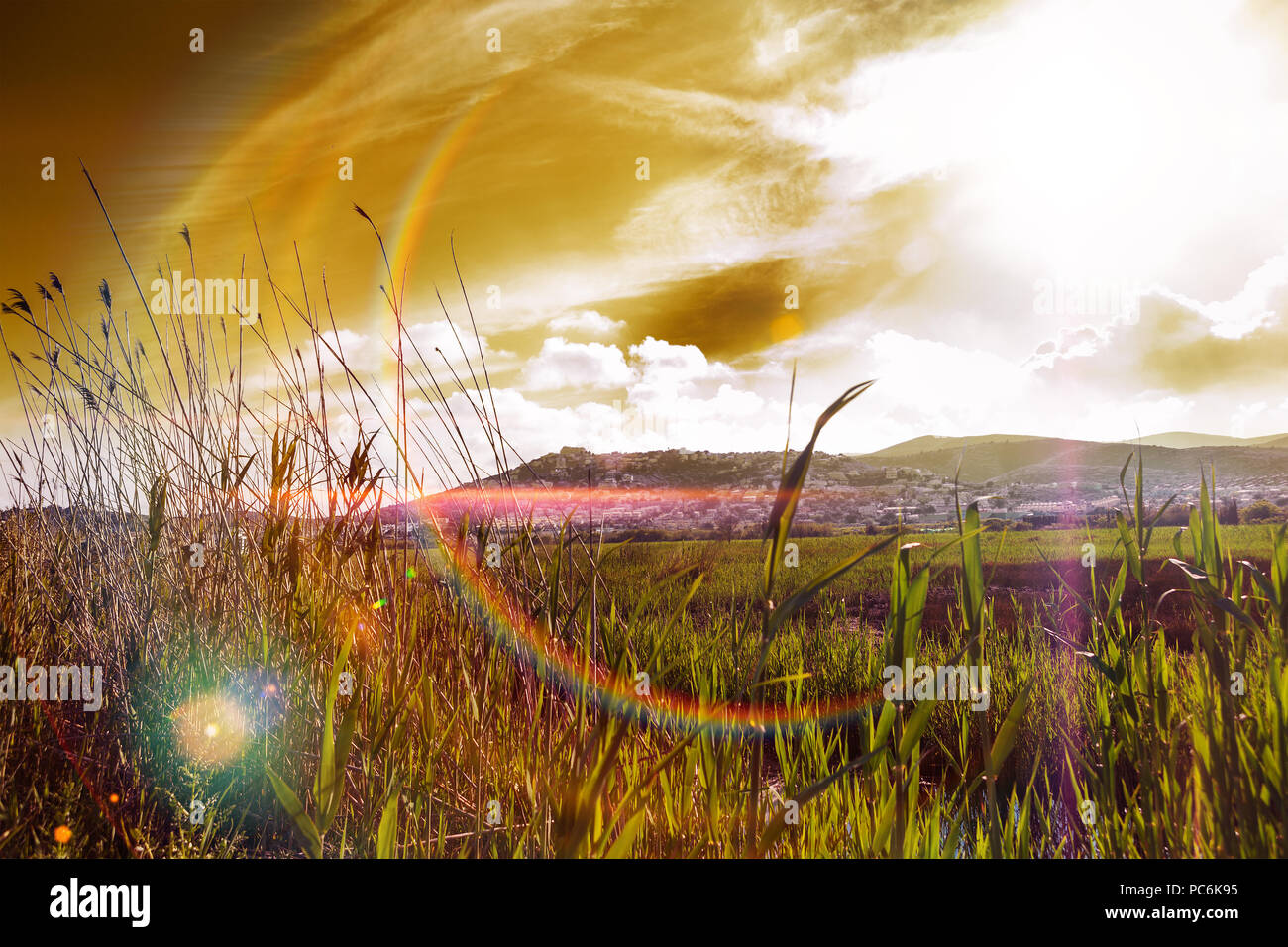 Sunset landscape.Fields and vegetation.Nature and environment concept ...