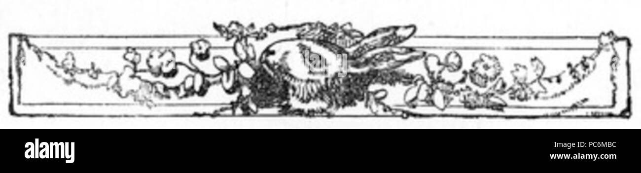 75 Rabbits and Flowers Drawing Stock Photo - Alamy