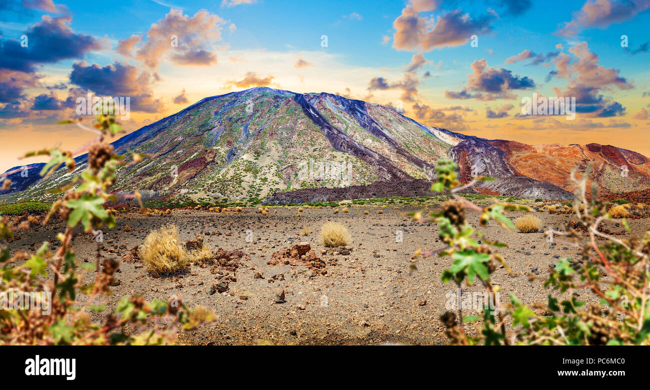 Nature volcanic landscape.Landmark in Spain.Teide volcano in Canary ...