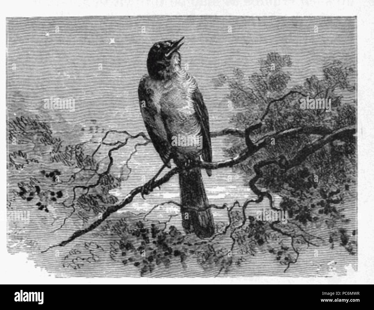 Night observation Black and White Stock Photos & Images - Alamy