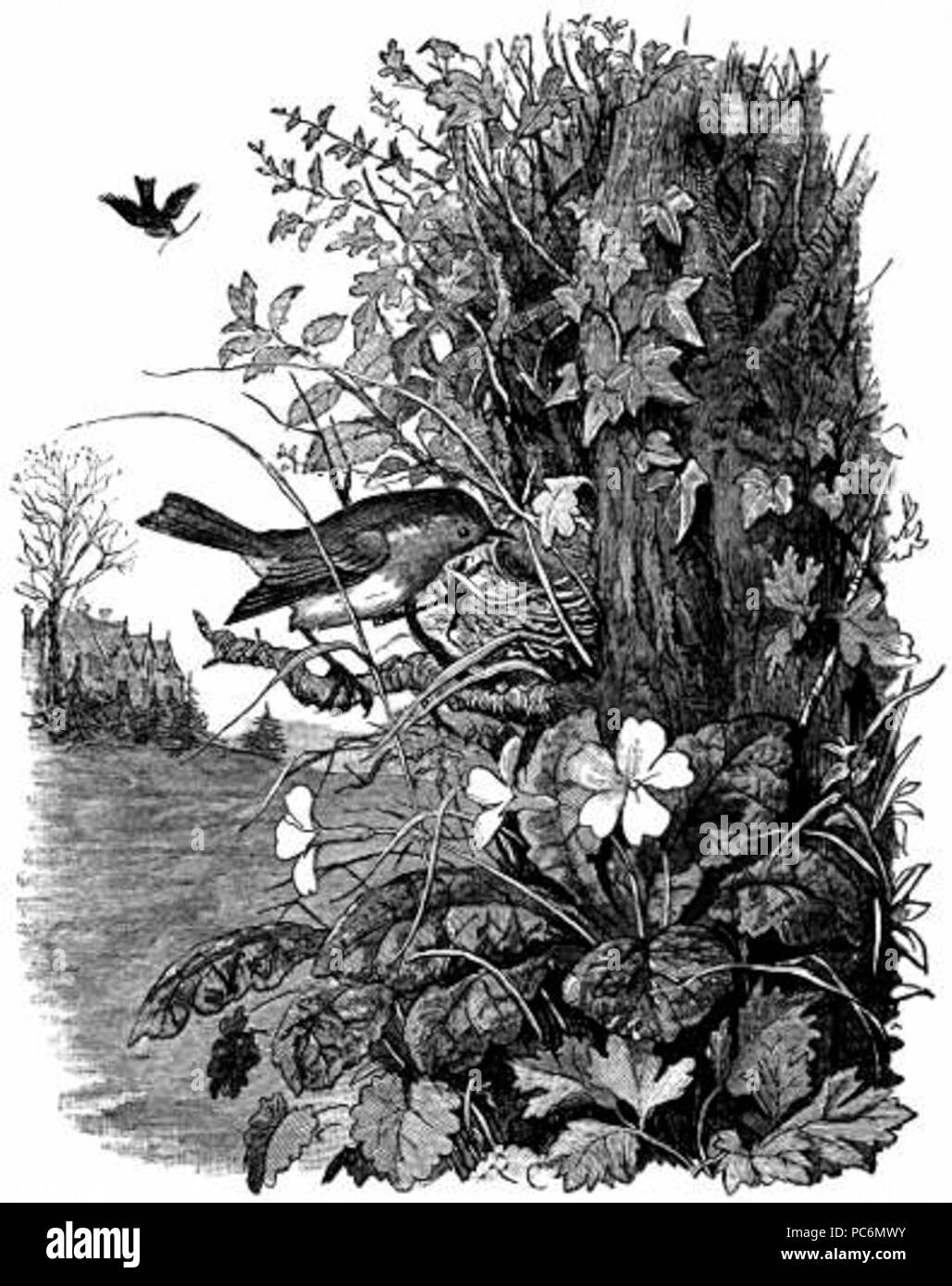 Drawing 77 Black and White Stock Photos & Images - Alamy