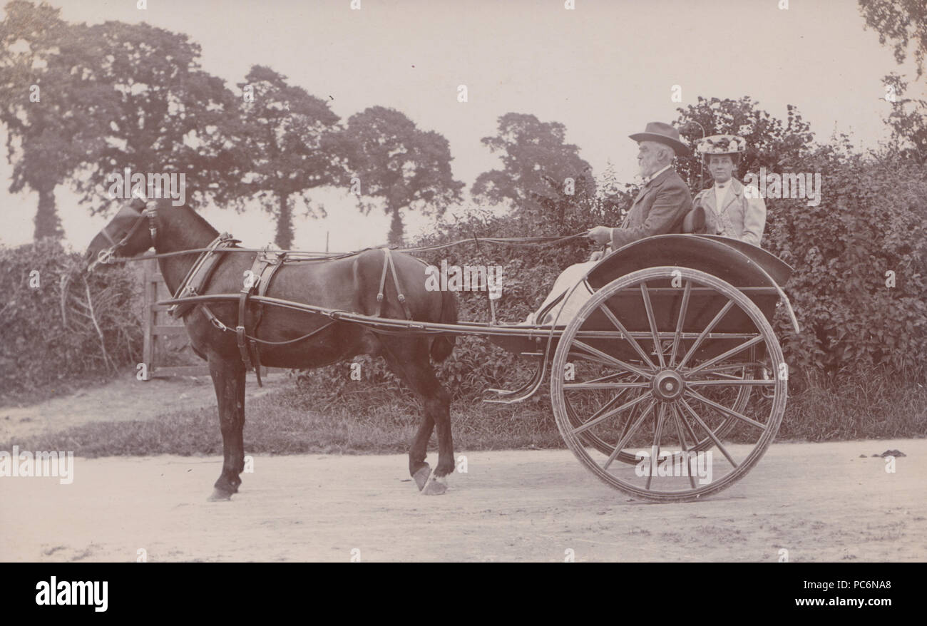 White horse drawn carriage hi-res stock photography and images - Alamy