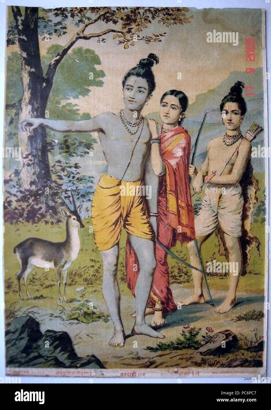 Sita Deer High Resolution Stock Photography and Images - Alamy