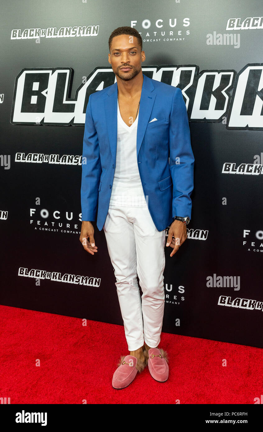 New York, United States. 30th July, 2018. Cleo Anthony attends ...