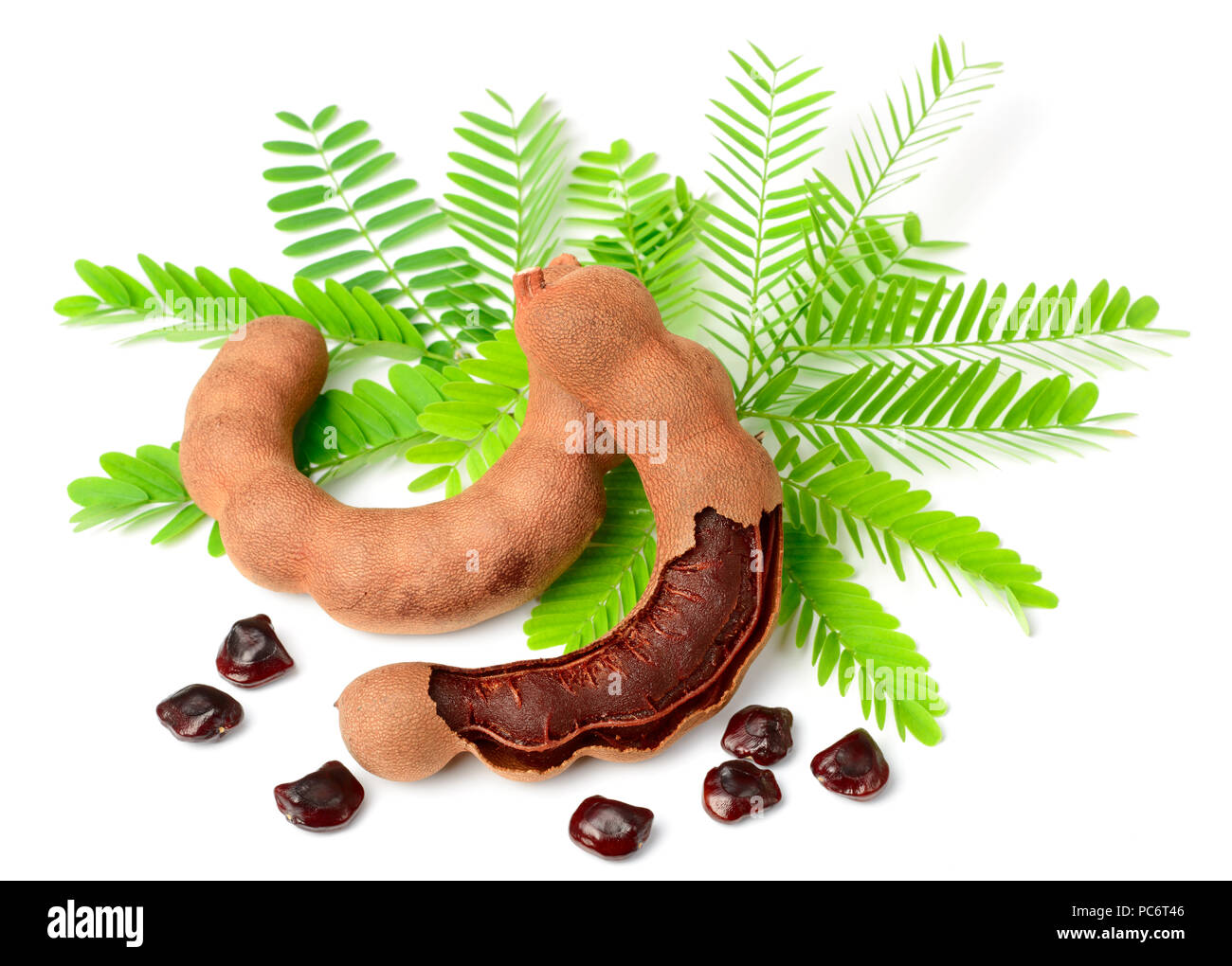 fresh tamarind fruits and leaves isolated on white background Stock ...