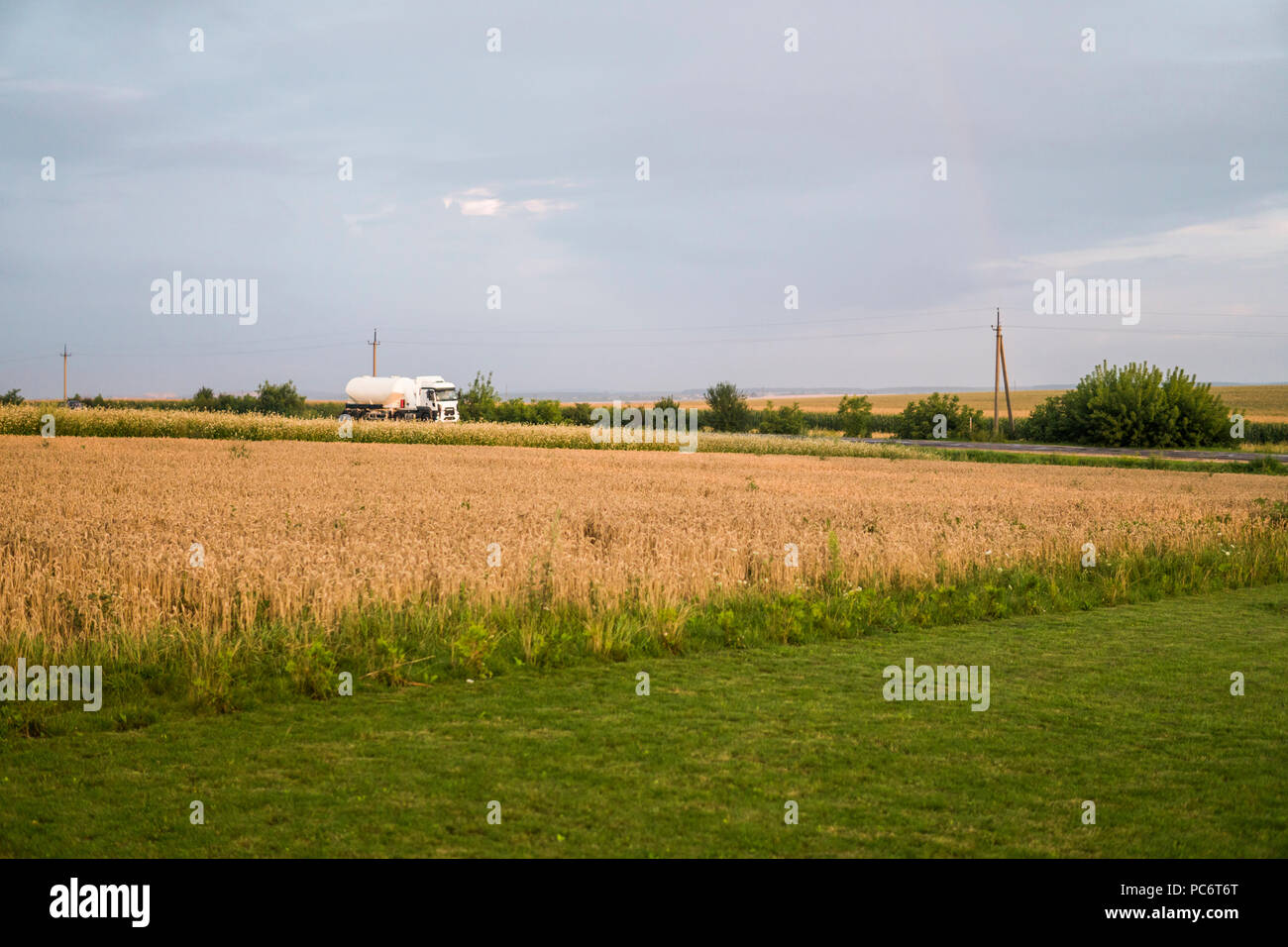 Truck on the road moving through wheat fields. Transportation Stock ...