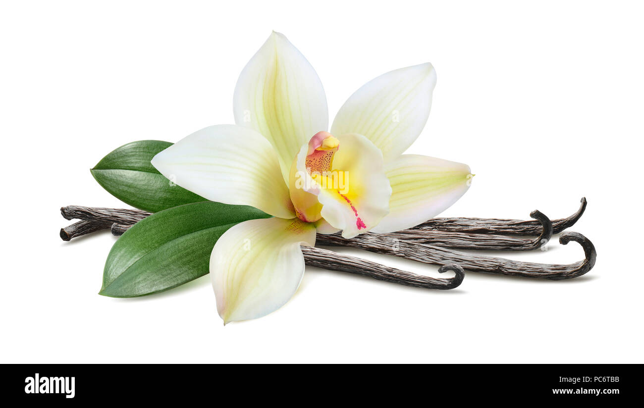 Vanilla leaf hi-res stock photography and images - Alamy