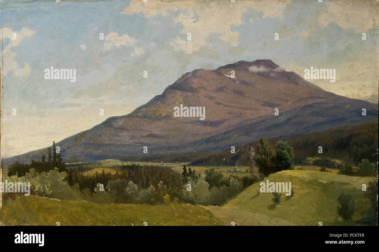 Gustaf wilhelm palm hi-res stock photography and images - Alamy