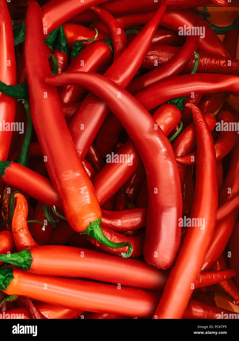 Chili pepper Top view Pattern with red hot chili peppers on the market ...