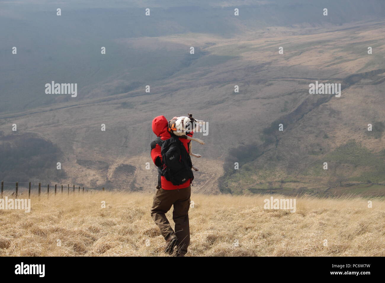 Man carrying his dog hi-res stock photography and images - Alamy