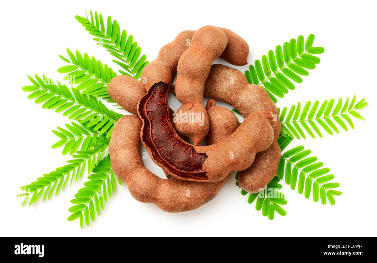 fresh tamarind fruits and leaves isolated on white background Stock ...
