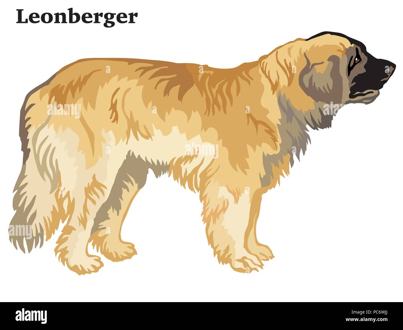 Leonberger portrait Stock Vector Images - Alamy