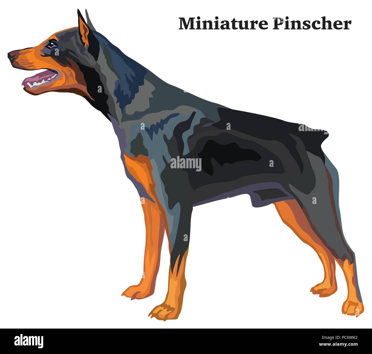 Small brown dog standing on Stock Vector Images - Alamy