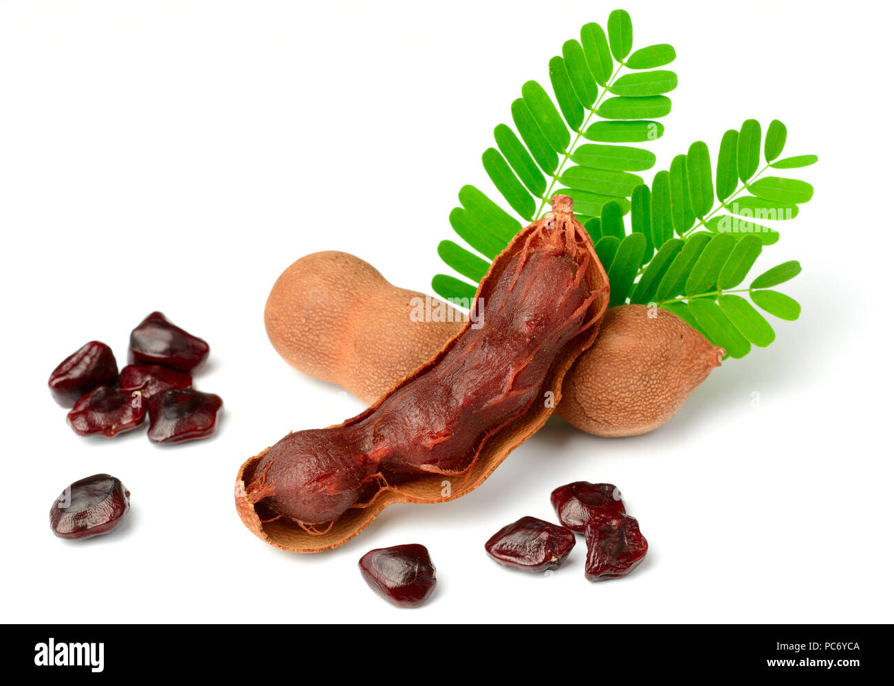 fresh tamarind fruits and leaves isolated on white background Stock ...