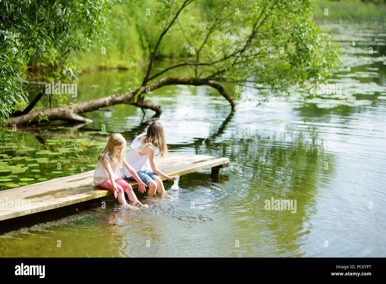 Pond Dipping Platform High Resolution Stock Photography and Images - Alamy
