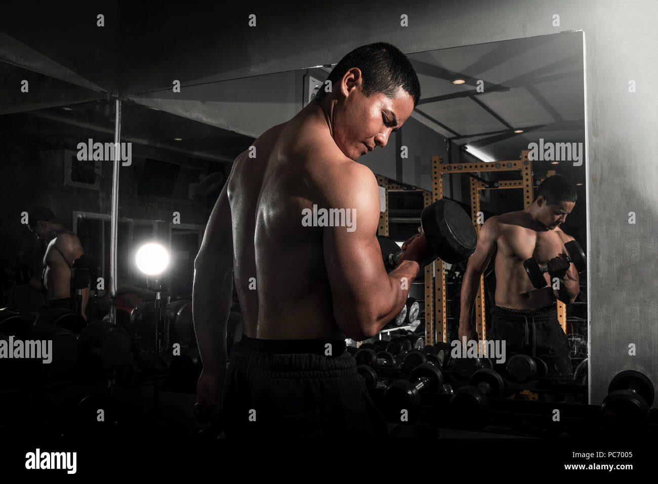 Bodybuilder working out with dumbbell weights at the gym. Man ...