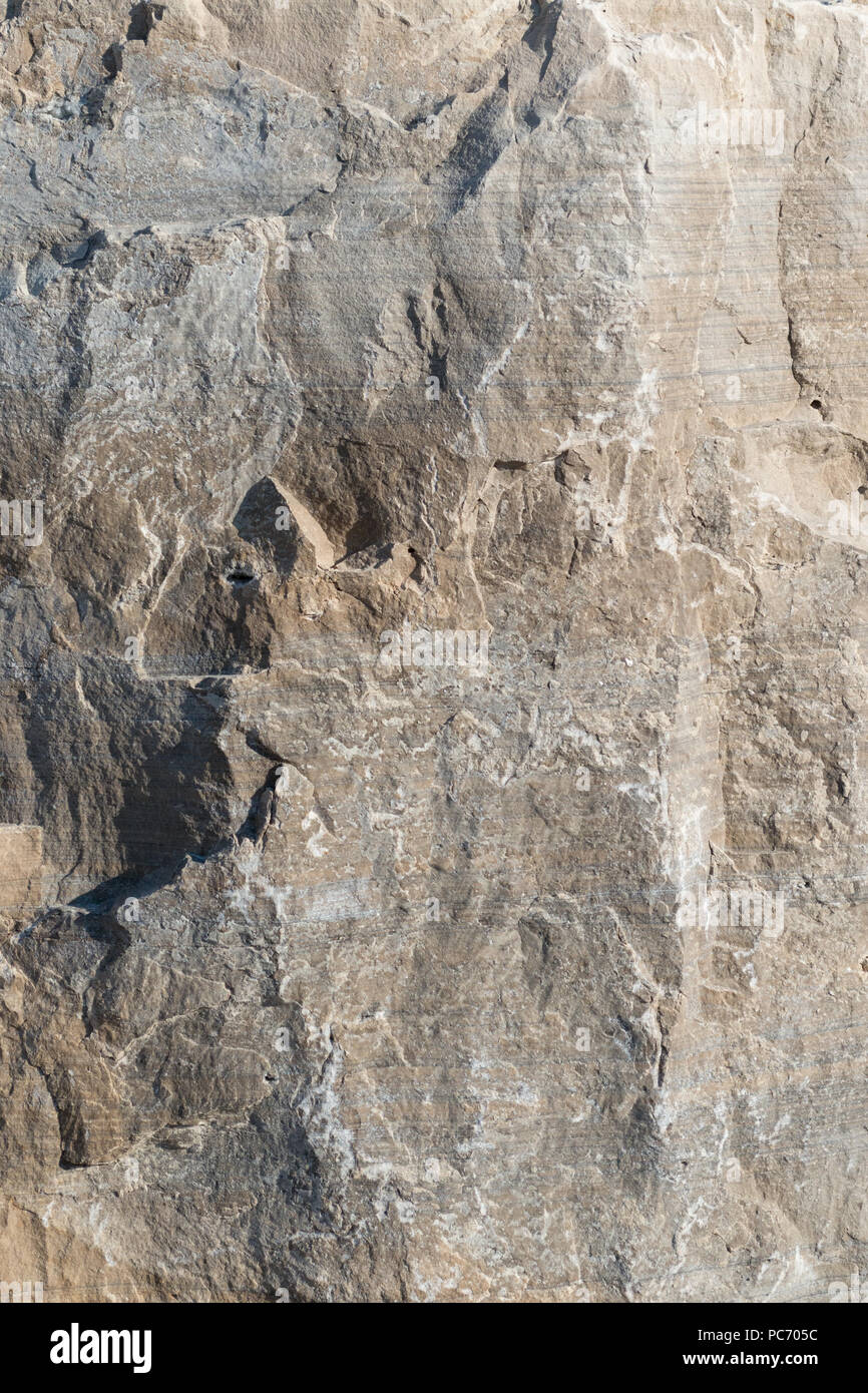 Closeup limestone rock face showing weathered strata for a geological ...