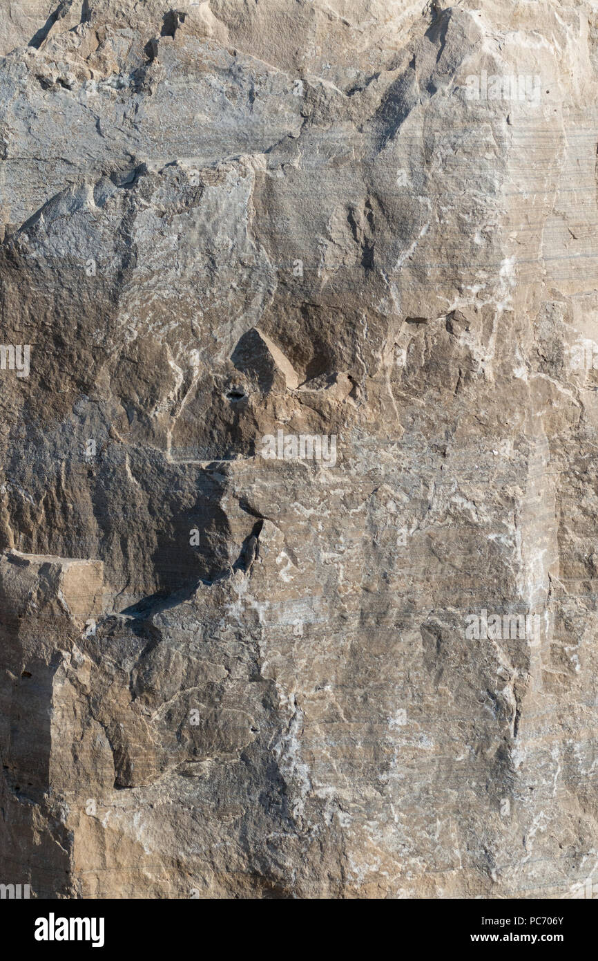 Closeup limestone rock face showing weathered strata for a geological ...