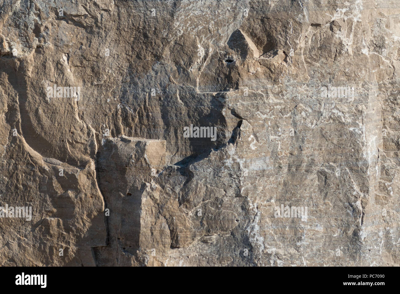 Closeup limestone rock face showing weathered strata for a geological ...