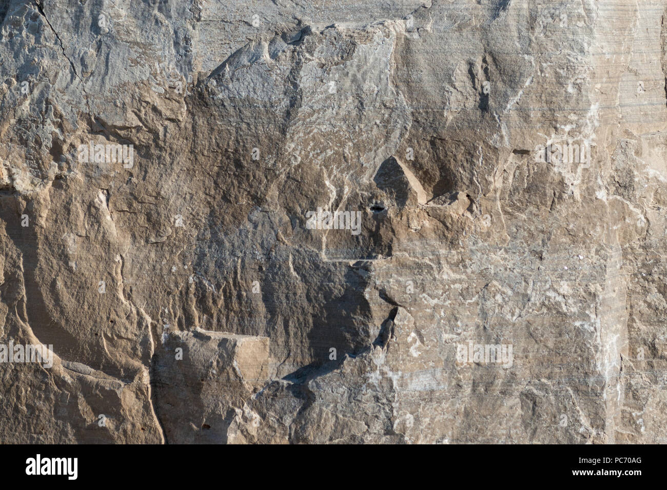 Closeup limestone rock face showing weathered strata for a geological ...