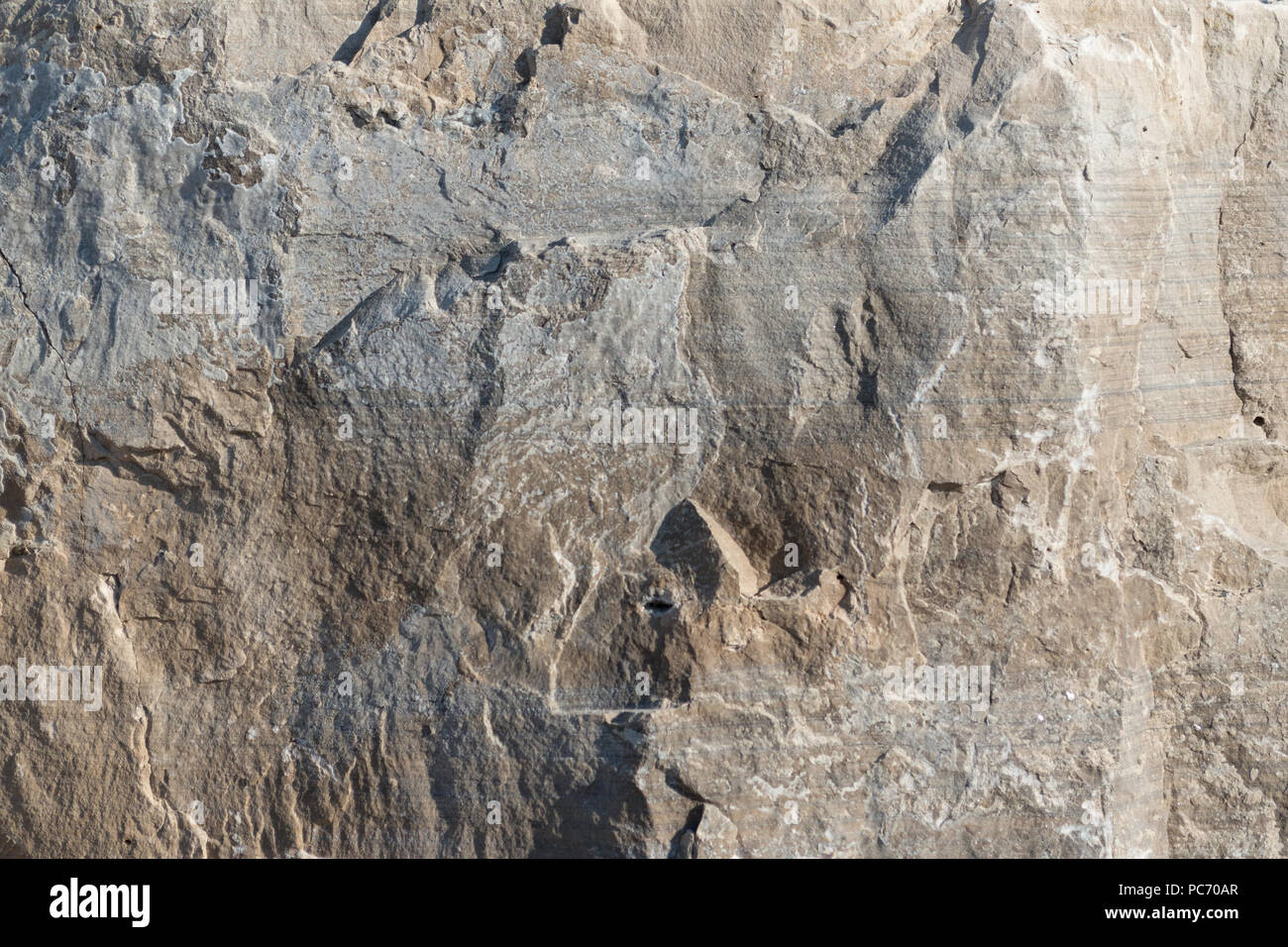 Closeup limestone rock face showing weathered strata for a geological ...