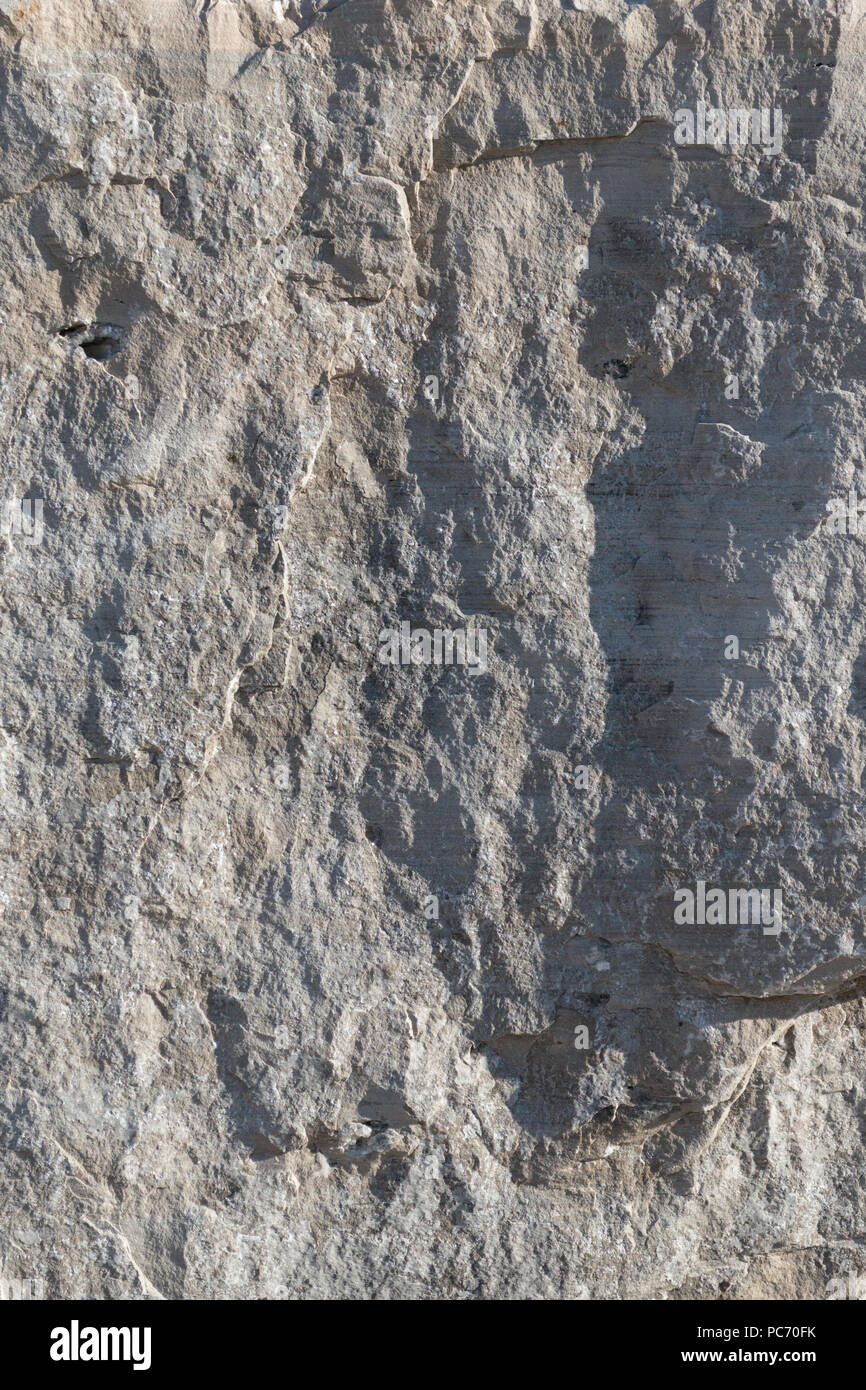Closeup limestone rock face showing weathered strata for a geological ...