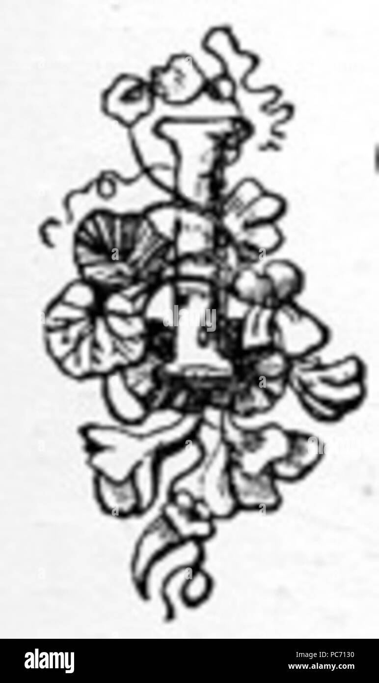 33 Fancy Letter I Stock Photo - Alamy