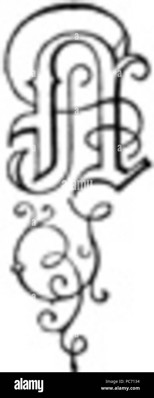 33 Fancy Letter N (2 Stock Photo - Alamy