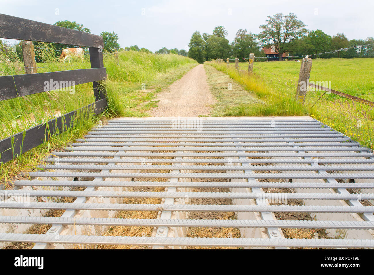 Rural cattle grid hi-res stock photography and images - Alamy