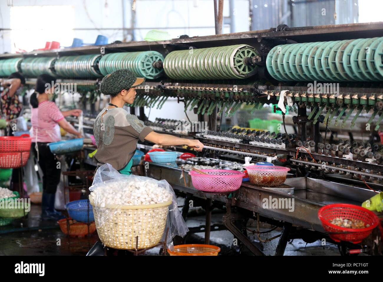 Traditional silk factory. Woman working on silk spinning machine. Dalat ...