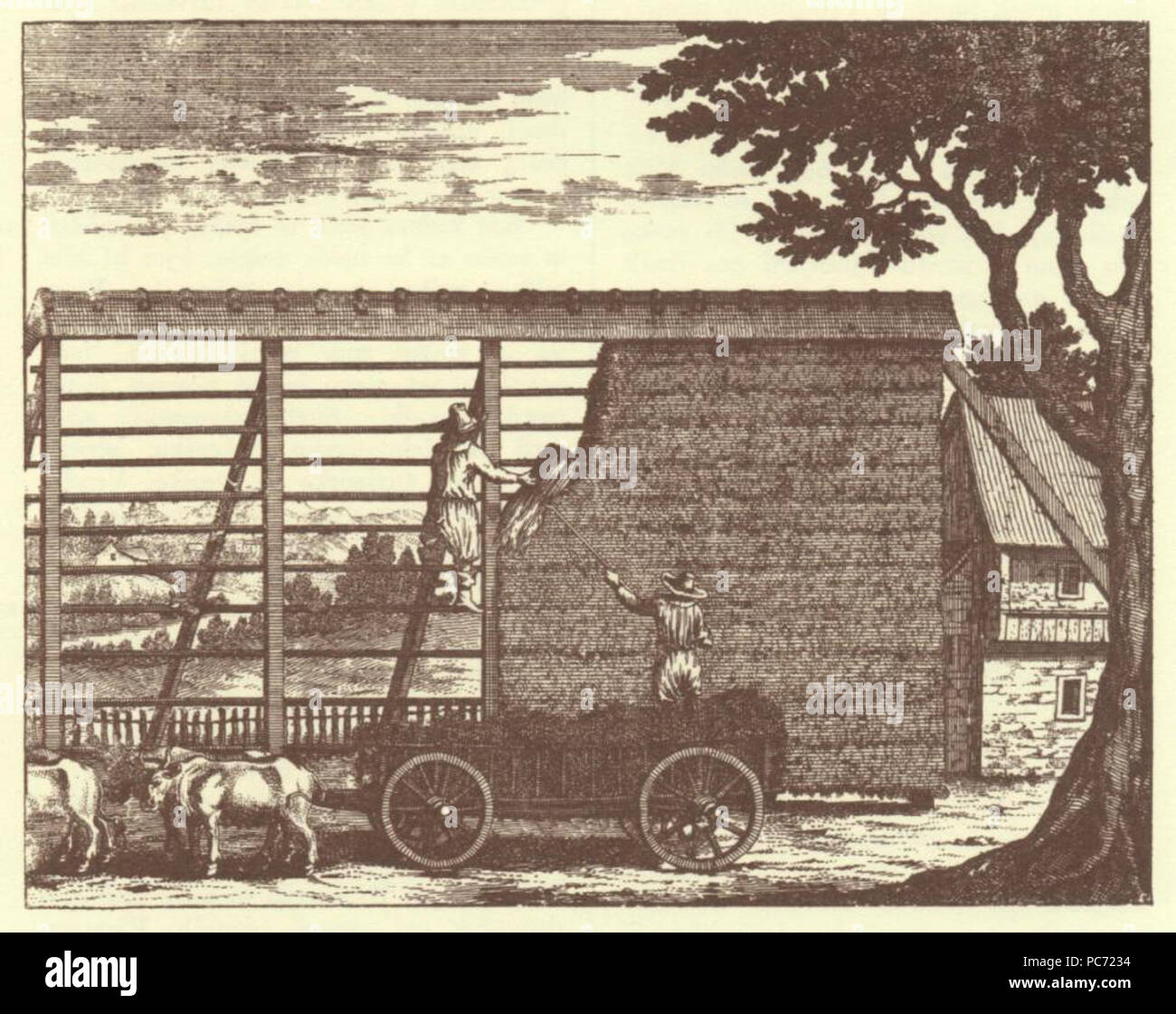 Kozolec hi-res stock photography and images - Alamy