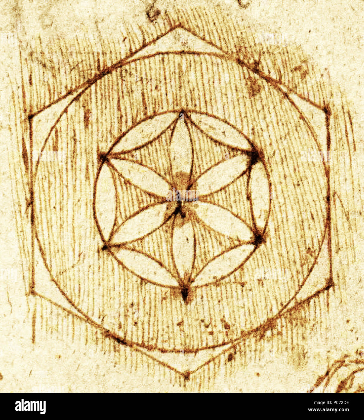 57 Leonardo da Vinci - Codex Atlanticus folio 459r detail1 Stock Photo ...