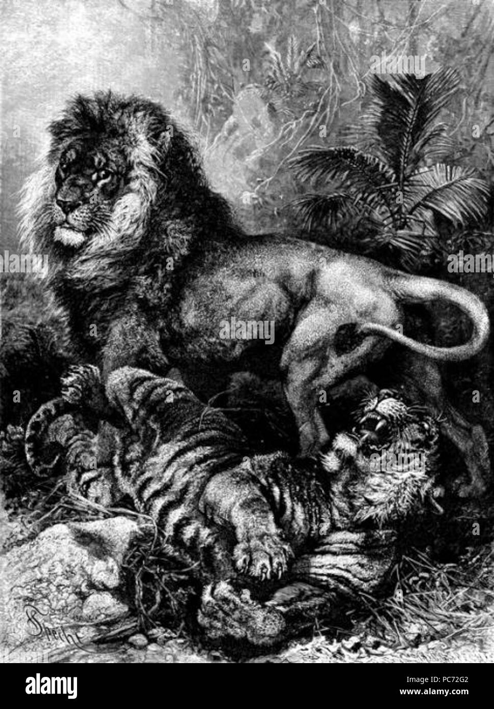 Art lion Black and White Stock Photos & Images - Alamy